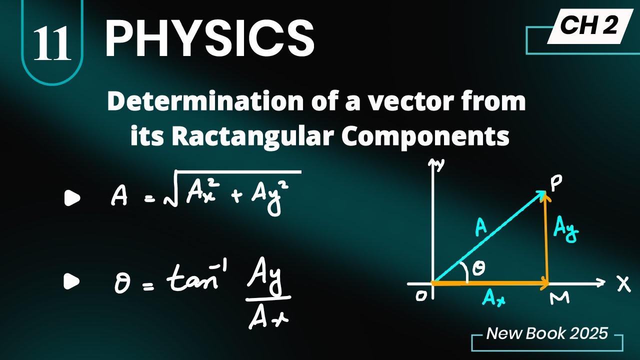 Determination of a Vector from its Rectangular Components Class 11 ...