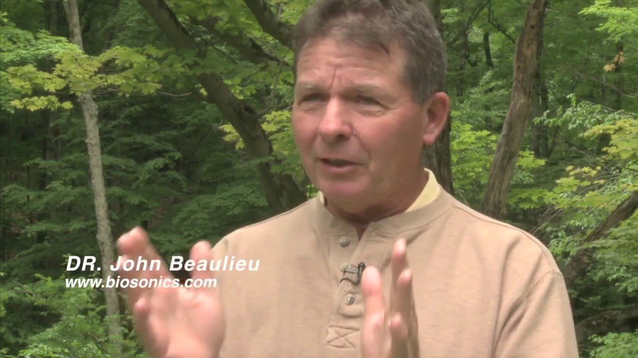 VideoDrJohnBeaulieuTherapieEtSon160314 - YouTube