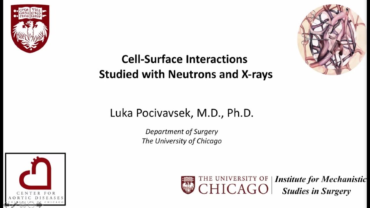 NSF's ChemMatCARS Soft Matter Interface Interest Group Seminar_20201109 ...