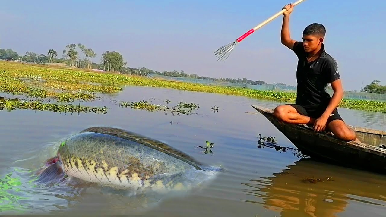 Unbelievable Big Fish Hunting Form Boat ☑️ Amazing Boy Catching Very ...