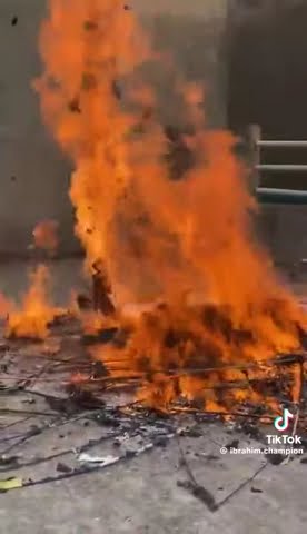 All the Baycott Video Kite Flying / Kite flying Bayco / #baycott / NO ...