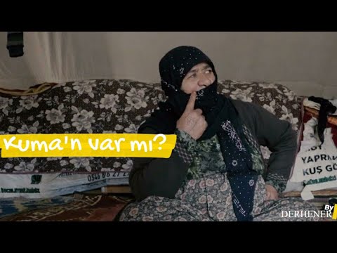 #kuma #koçer                                    HEWİ(Kuma)