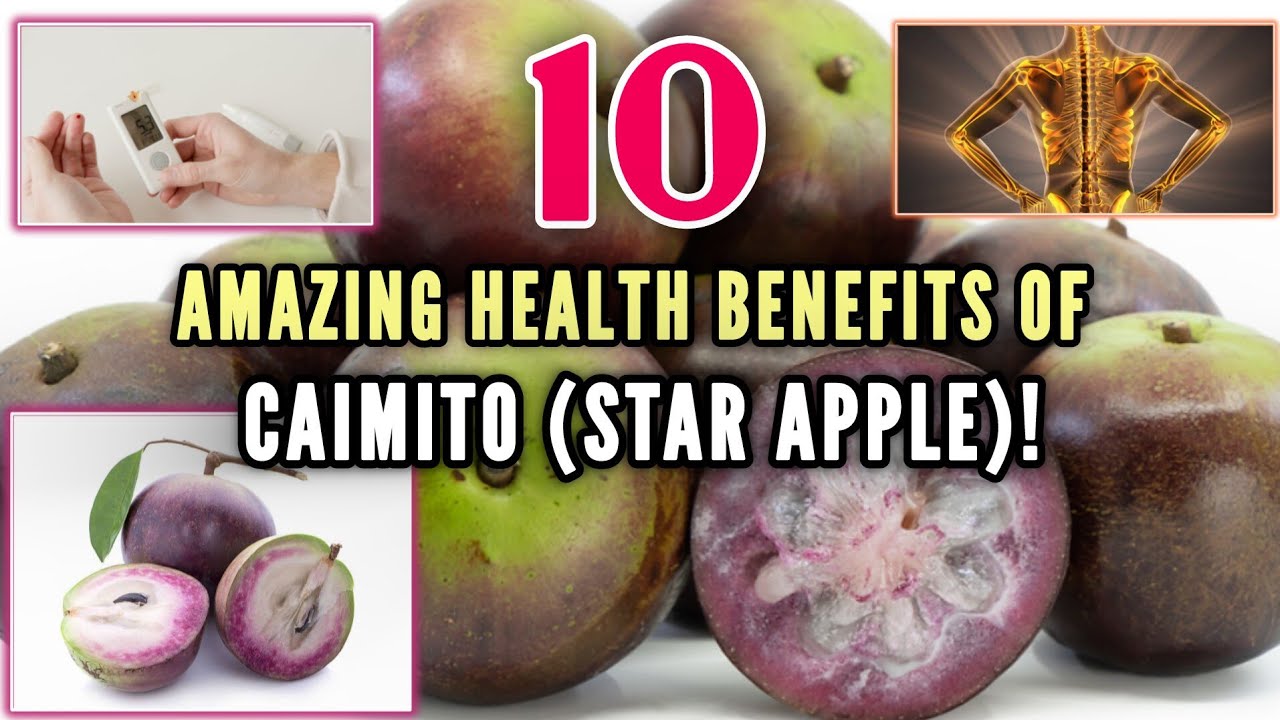 10 Health Benefits of Caimito (Star Apple) You Need to Know! - YouTube