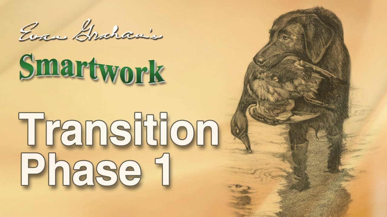 Smartwork Transition Phase 1: How to Fix Breaking Dogs - YouTube