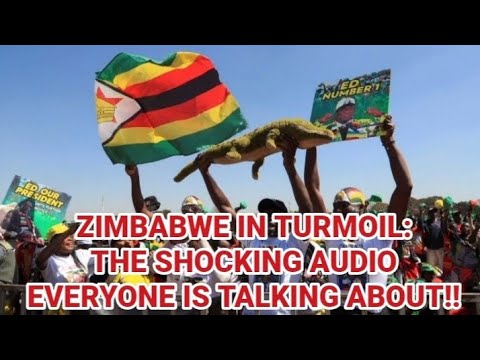 ZANU PF EXPOSED! LEAKED AUDIO REVEALS ALL - YouTube