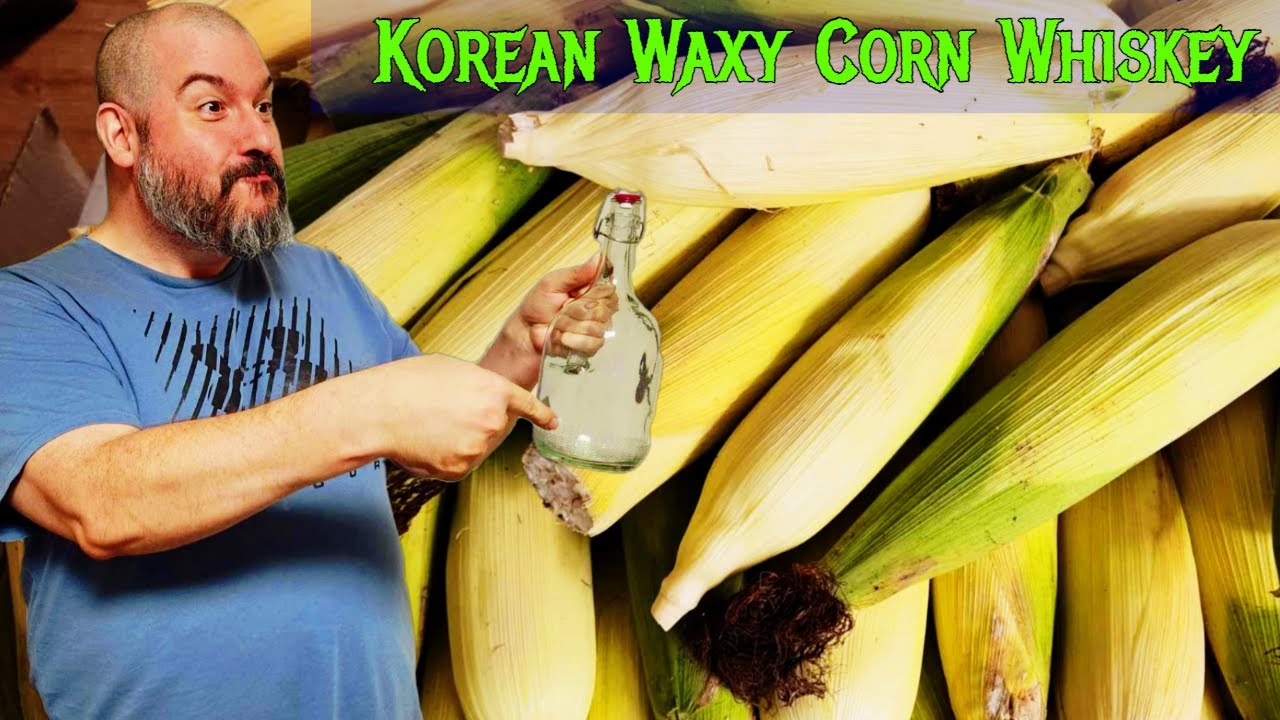 Korean Corn Whiskey Run: Brewing Liquid Gold from Fresh Waxy Corn ...