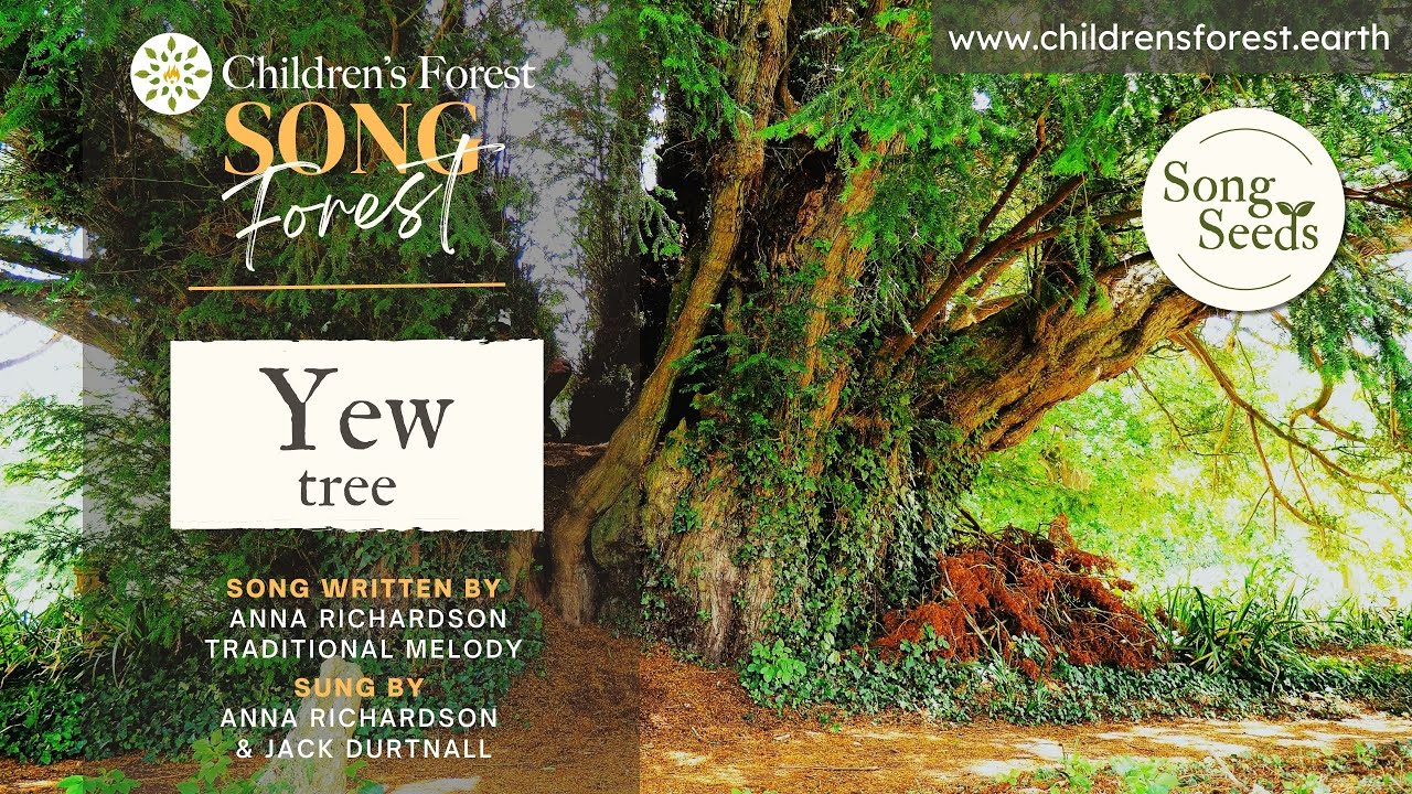 Yew Song - YouTube