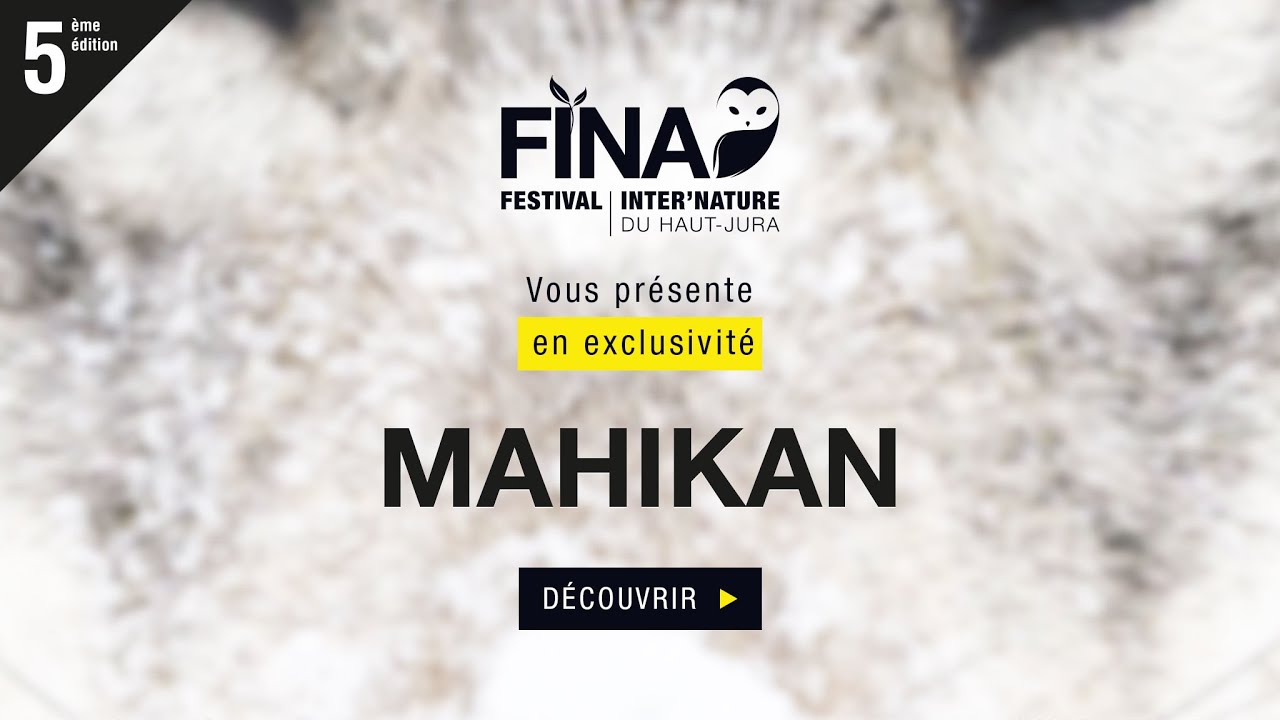 FINA2025 Teaser 3 - YouTube