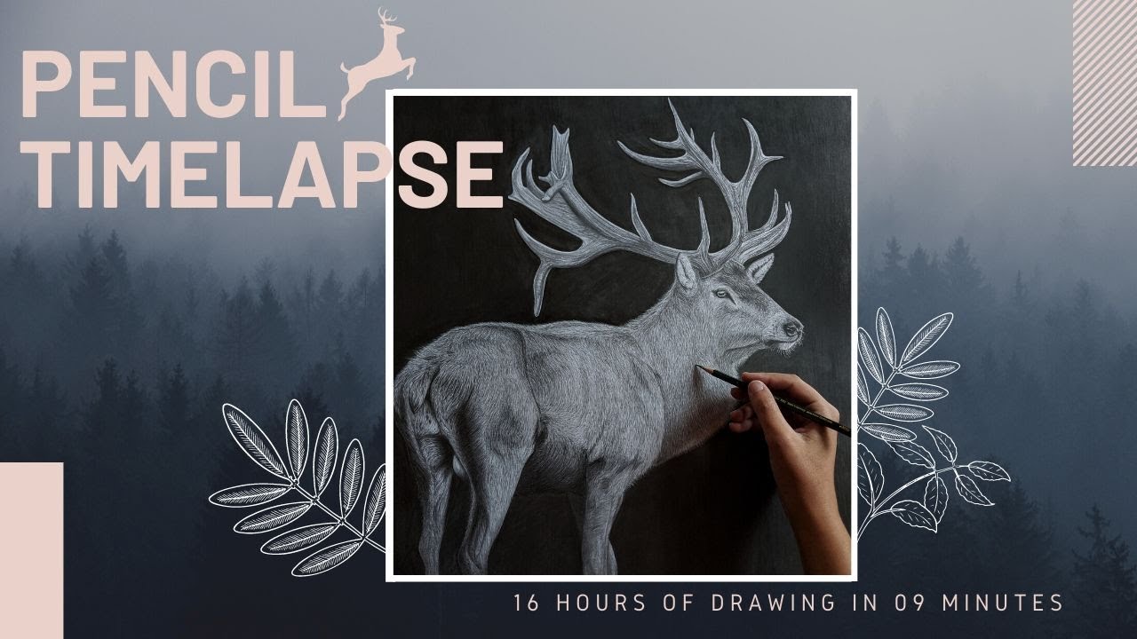 Speed Drawing Deer / Time-Lapse Drawing Deer 【16 hours in 9 Minutes ...