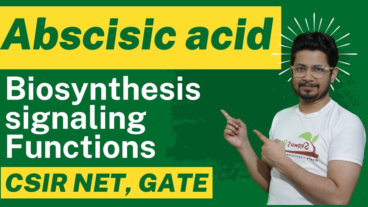 Abscisic acid biosynthesis and abscisic acid function - YouTube