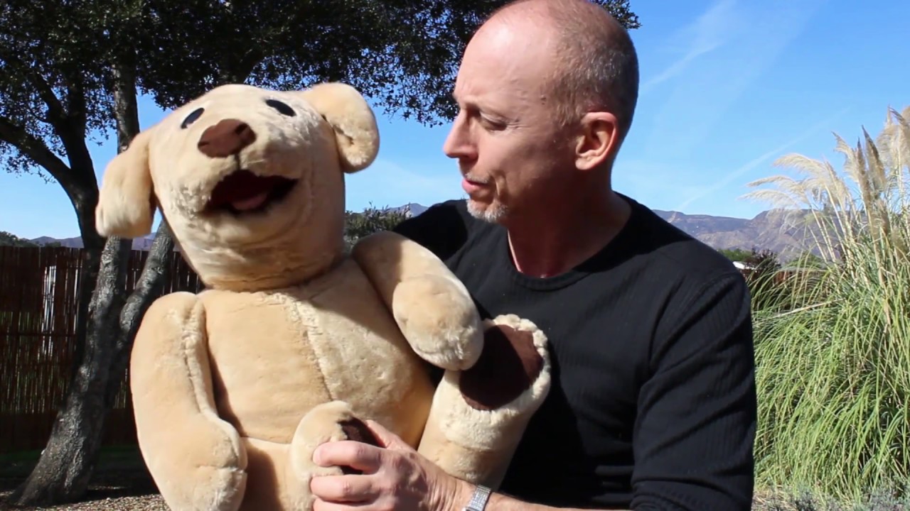 Ted E Diet Week 3 - YouTube