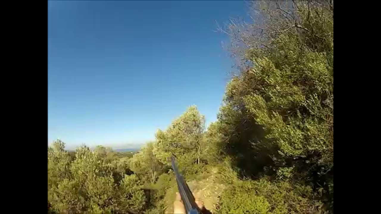 ΠΕΡΠΑΤΗΤΟ ΚΥΝΗΓΙ ΤΣΙΧΛΑΣ~CACCIA AL TORDO~THRUSH HUNTING - YouTube