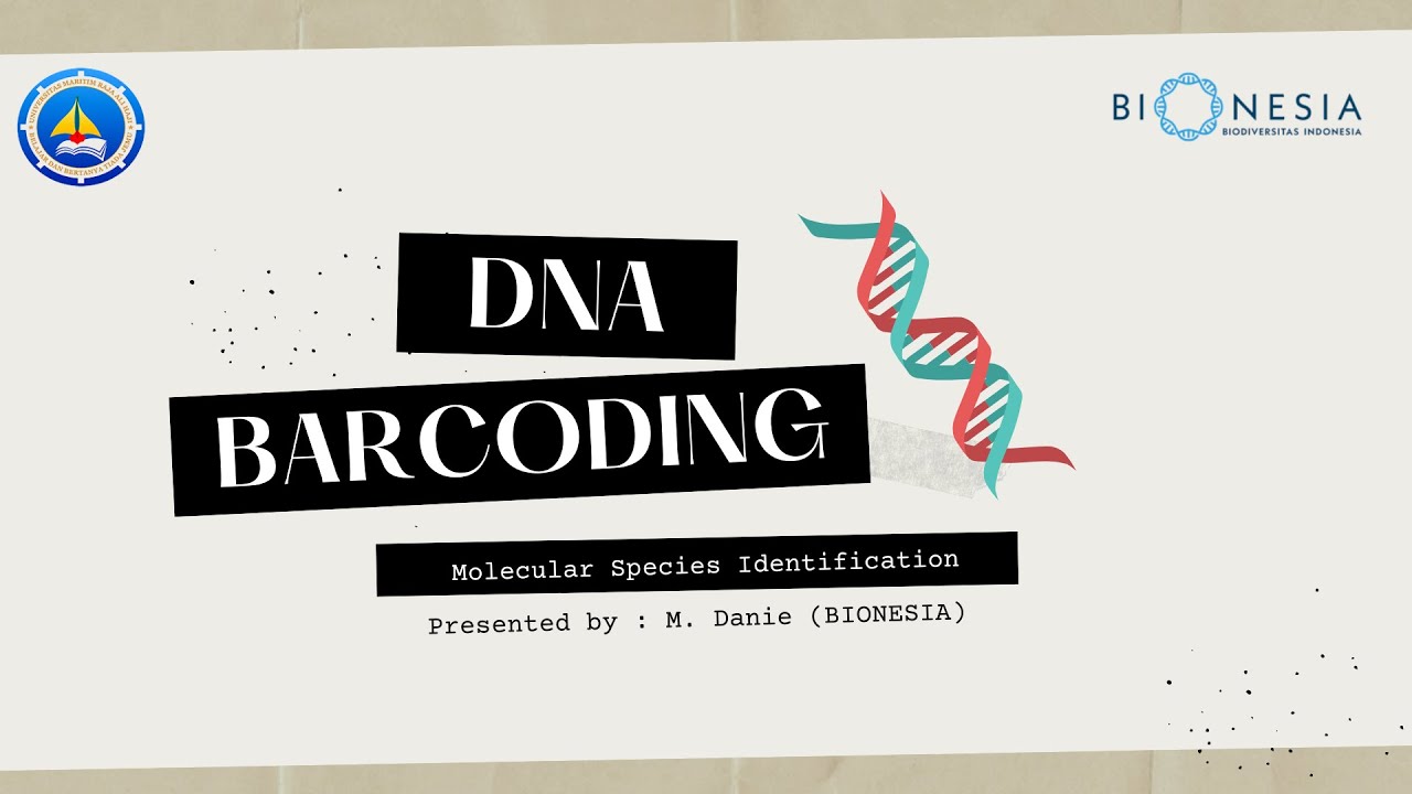 DNA BARCODING. MOLECULAR SPECIES IDENTIFICATION - YouTube