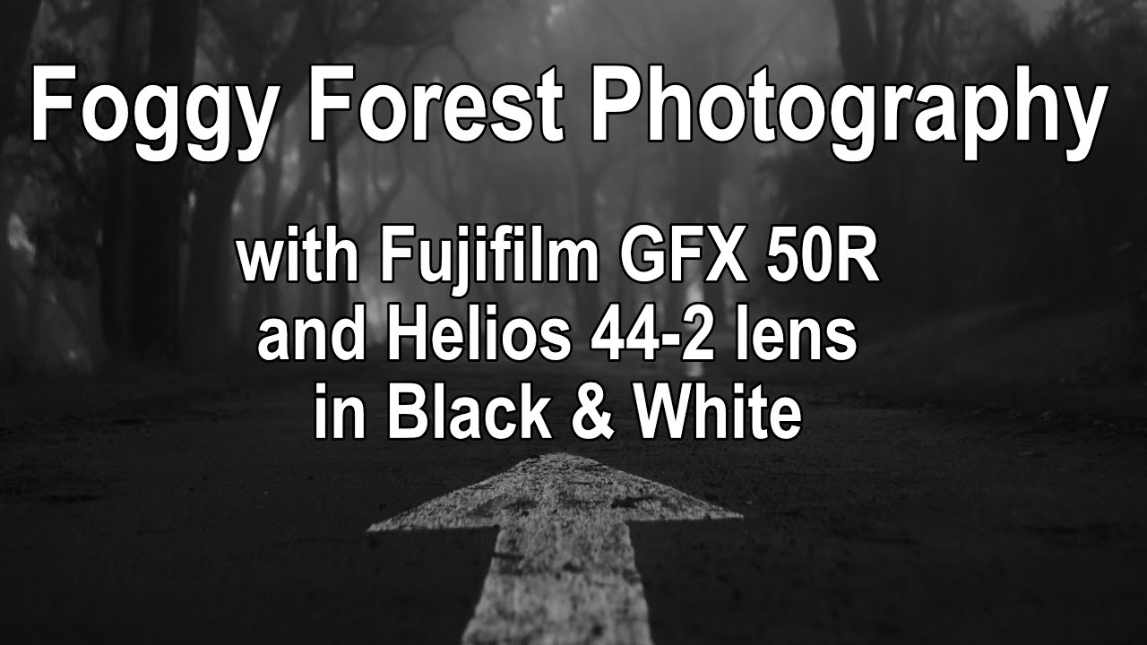 Foggy Forest Photography with my Fujifilm GFX 50R and Helios 44-2 - YouTube