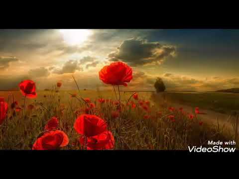 İsmayıllı Fatma - Qaytarın Şuşamı (Müəllif : Ramiz Qusarçaylı)