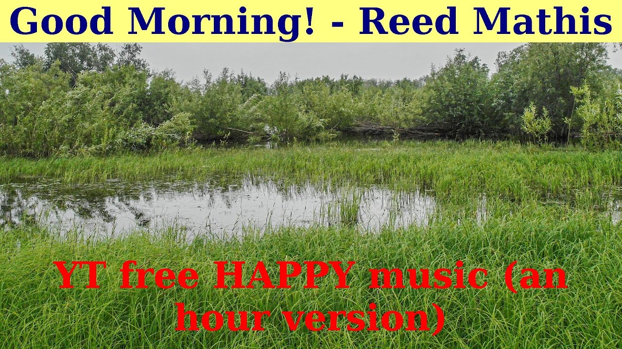 Good Morning! by Reed Mathis. An hour version. - YouTube
