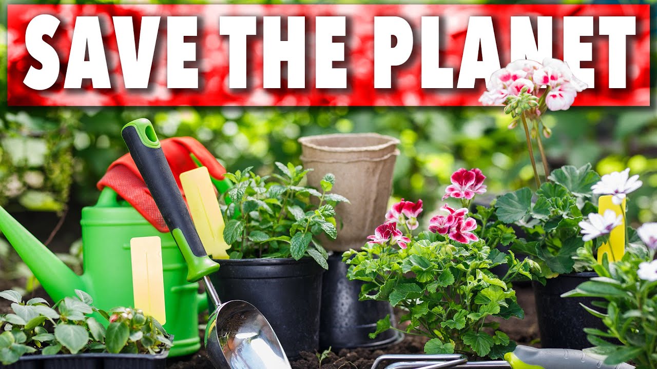 To save the world, plant a garden (even if you don't have a yard ...