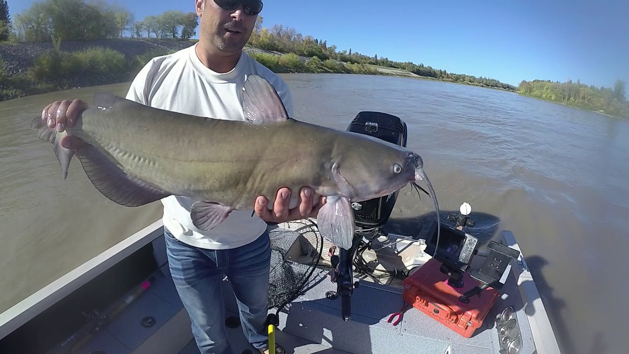 Catfish Fishing in Lockport Manitoba - YouTube