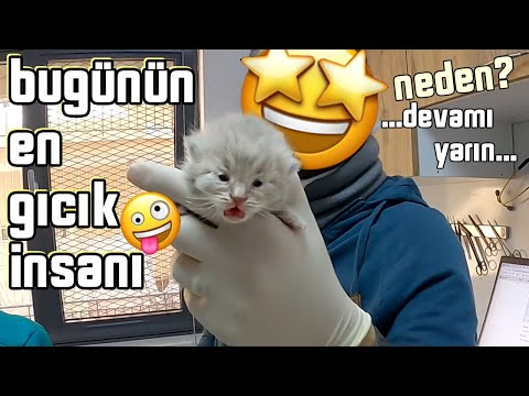 SİMBA'nın Yavruları ve Bugünün En Gıcık İnsanı 😆 @DoBiDa'landın!