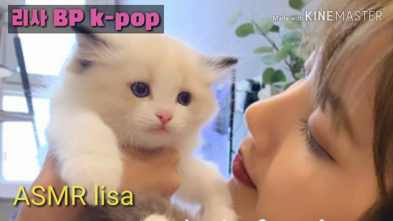 ASMR Lisa eu vou sair com a rosé - YouTube