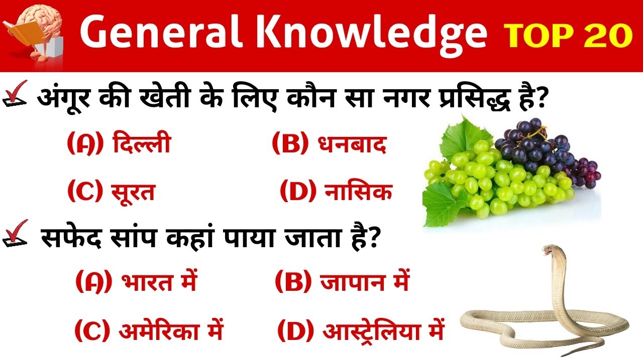 Static gk | General knowledge | Very important Questions | All ...