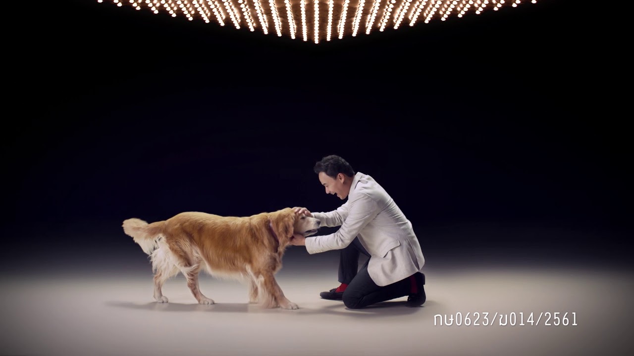 VTR SmartHeart GOLD - YouTube