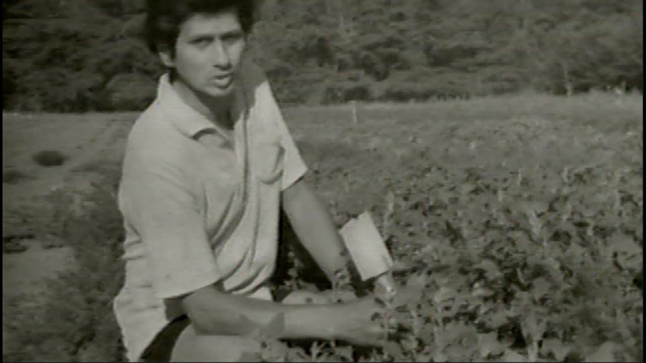 Roy the Natural Farmer - Organic Farming & Spiritual Philosophy from ...