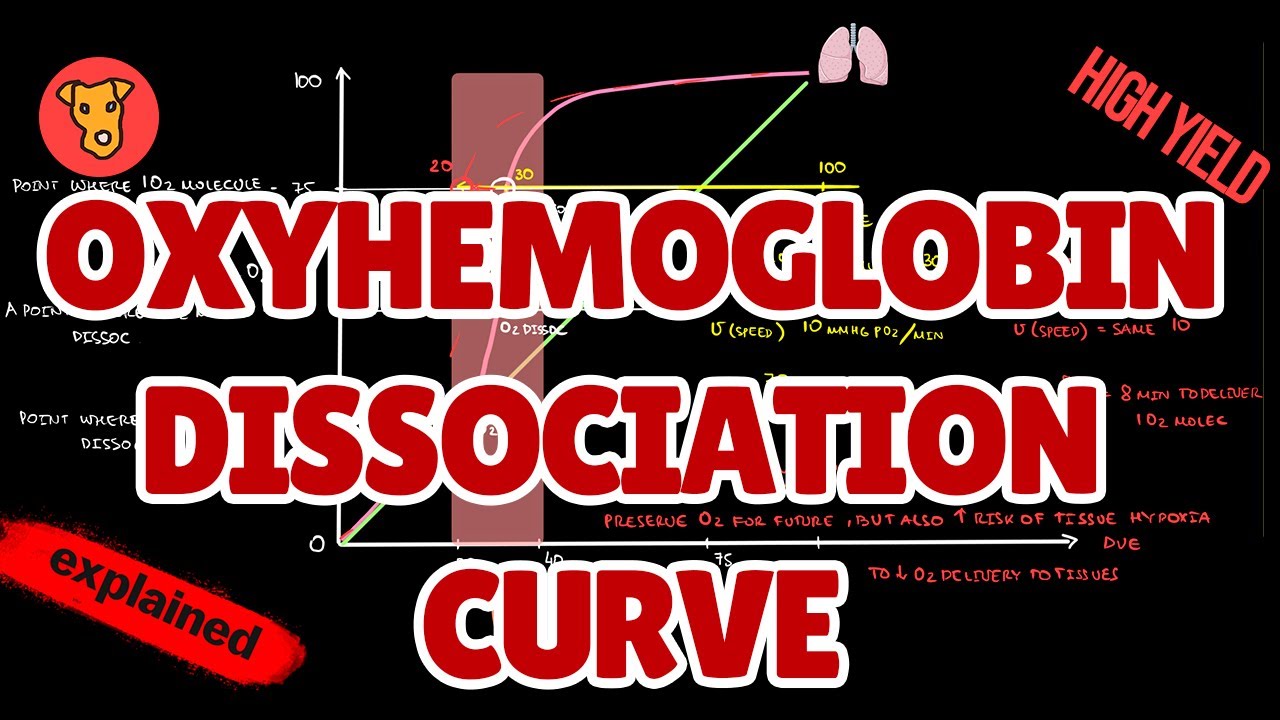Oxyhemoglobin Dissociation Curve: Key Concepts for Exams (USMLE Step 1 ...