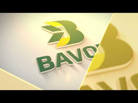 Bavorconsulting