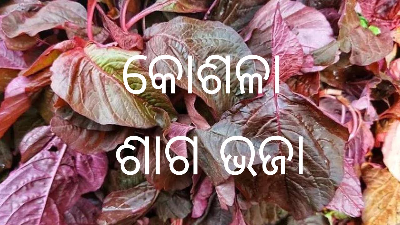 How to Make Laal Saag | Red Spinach Recipe | କୋଶଳା ଶାଗ ଖରଡା | Kosala ...