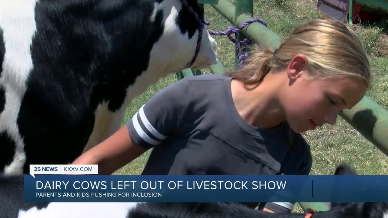 Dairy Cows left out of livestock show - YouTube