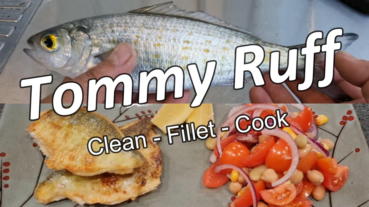 Tommy Ruff - Clean - Fillet - Cook - YouTube