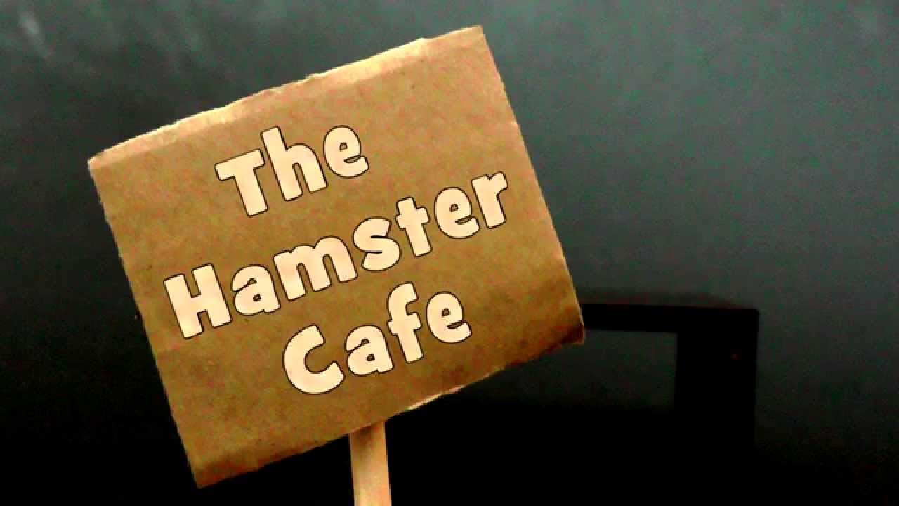 The Hamster Cafe! - YouTube