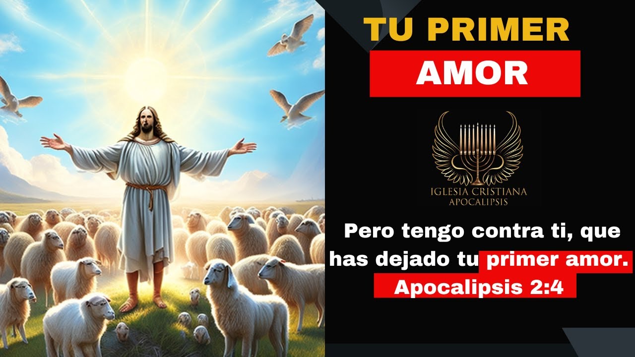 TU PRIMER AMOR - YouTube