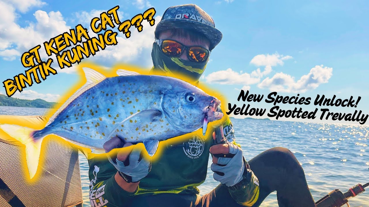First Time Dapat Gerong Pulau | Yellow Spotted Trevally On Kayak - YouTube