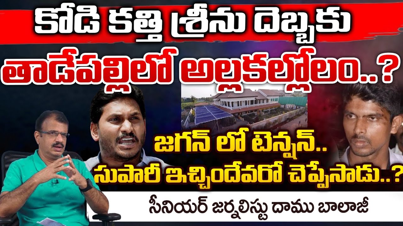 New Twist In Kodi Kathi Case: Srinu Reveals Some Secrets | Jagan | Red ...