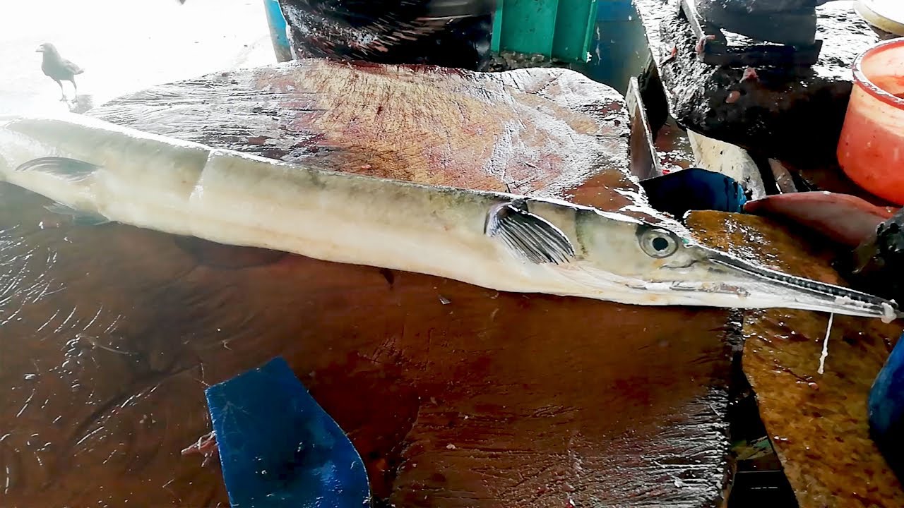 Slicing Hound Fish | Fish Cutting Skills | Fish Bae - YouTube