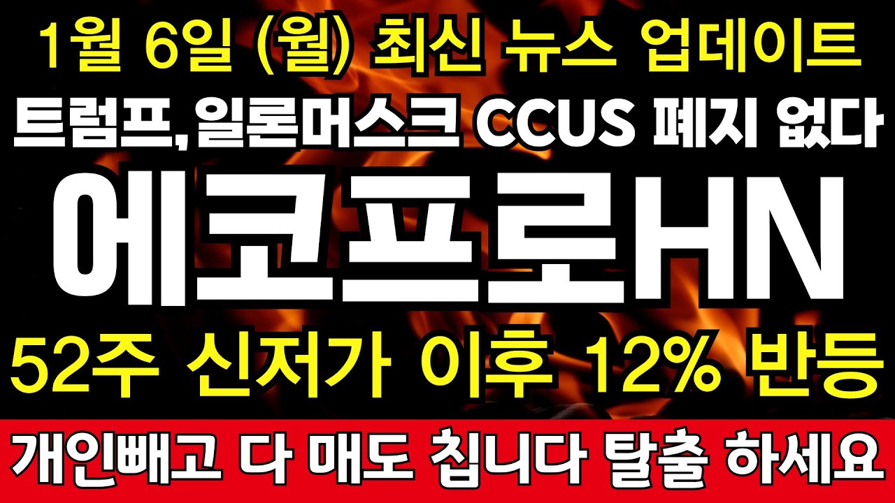 에코프로hn 트럼프 일론 머스크 Ccus 폐지 안 하겠다 바닥 찍고 돌아서는가 예상 주가흐름과 그 근거 4분기 실적