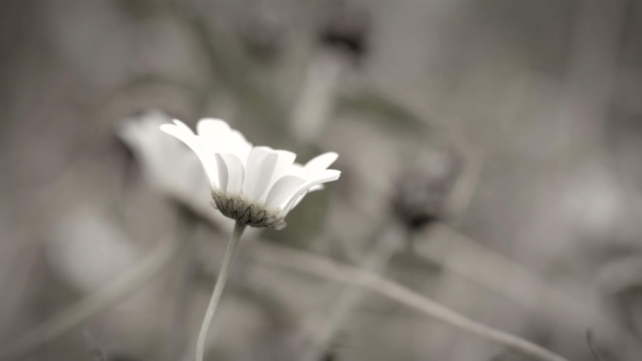 Frazer Lepford - Counting Down The Hours (Lyric Video) - YouTube