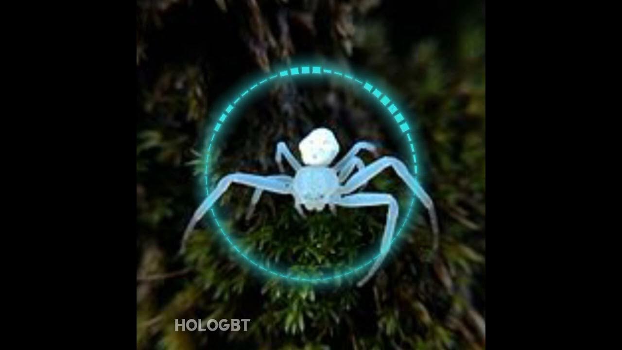 Free Style Laba-Laba Sunda - (Official Music Video) - YouTube