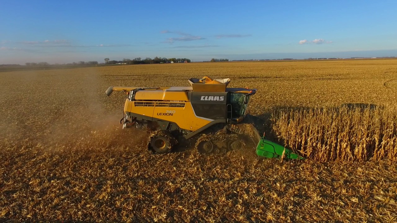 Collins Family Farms Corn Harvest 2016 - YouTube
