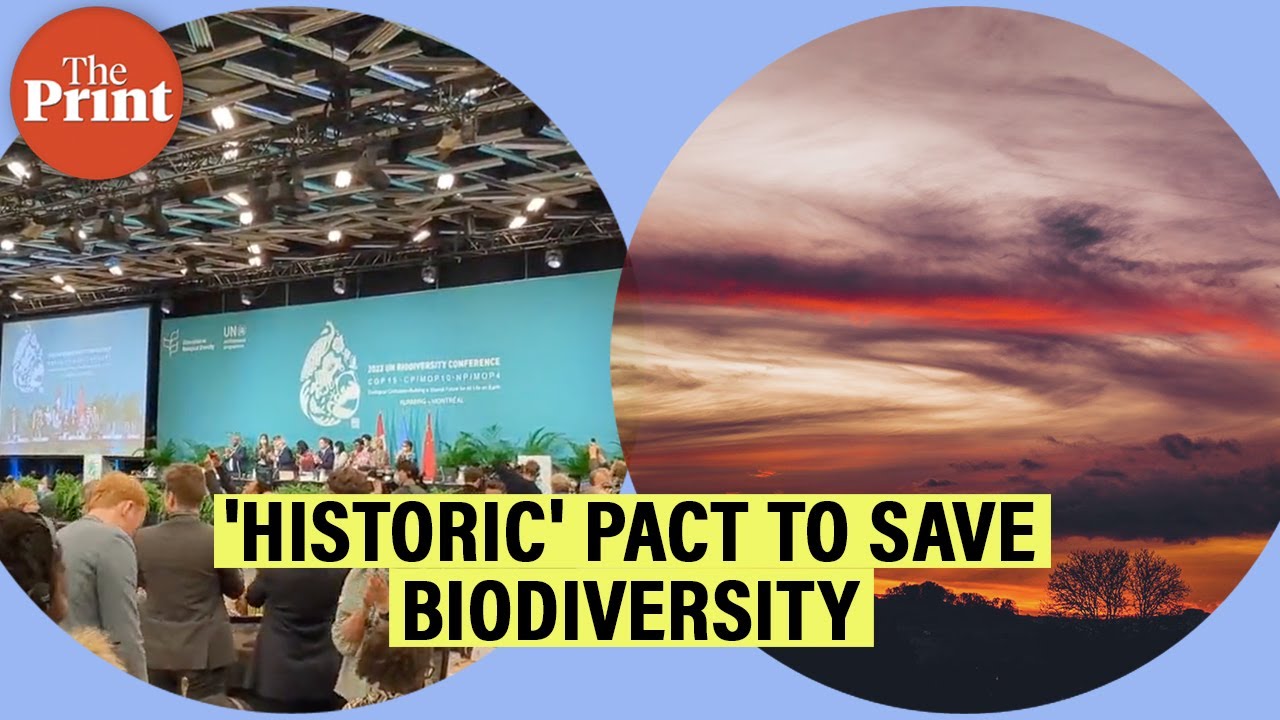 All you need to know about the Global Biodiversity Framework - YouTube