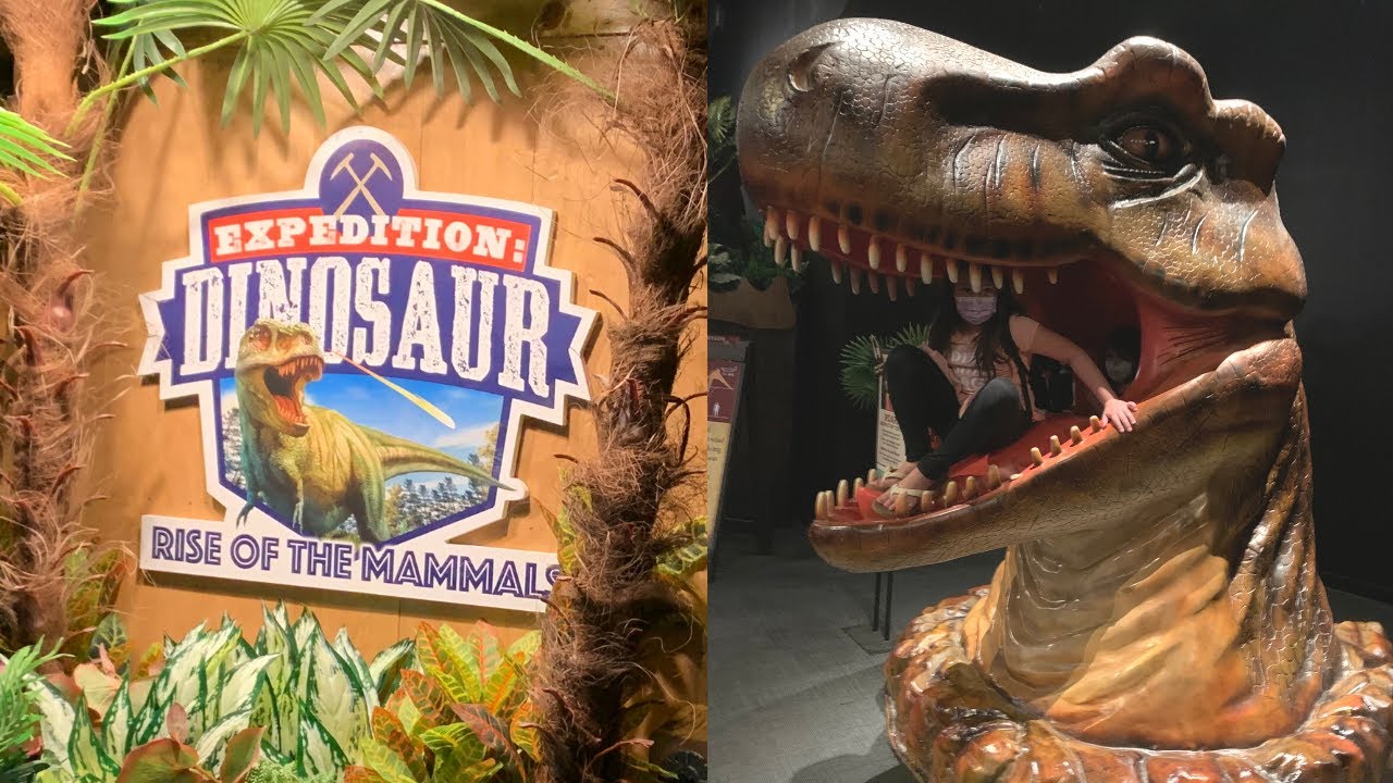 EXPEDITION DINOSAUR: RISE OF THE MAMMALS || BISHOP MUSEUM HAWAII - YouTube