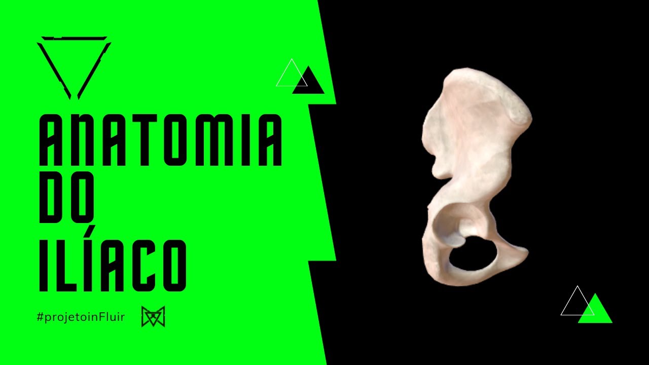 Anatomia do Ilíaco - YouTube