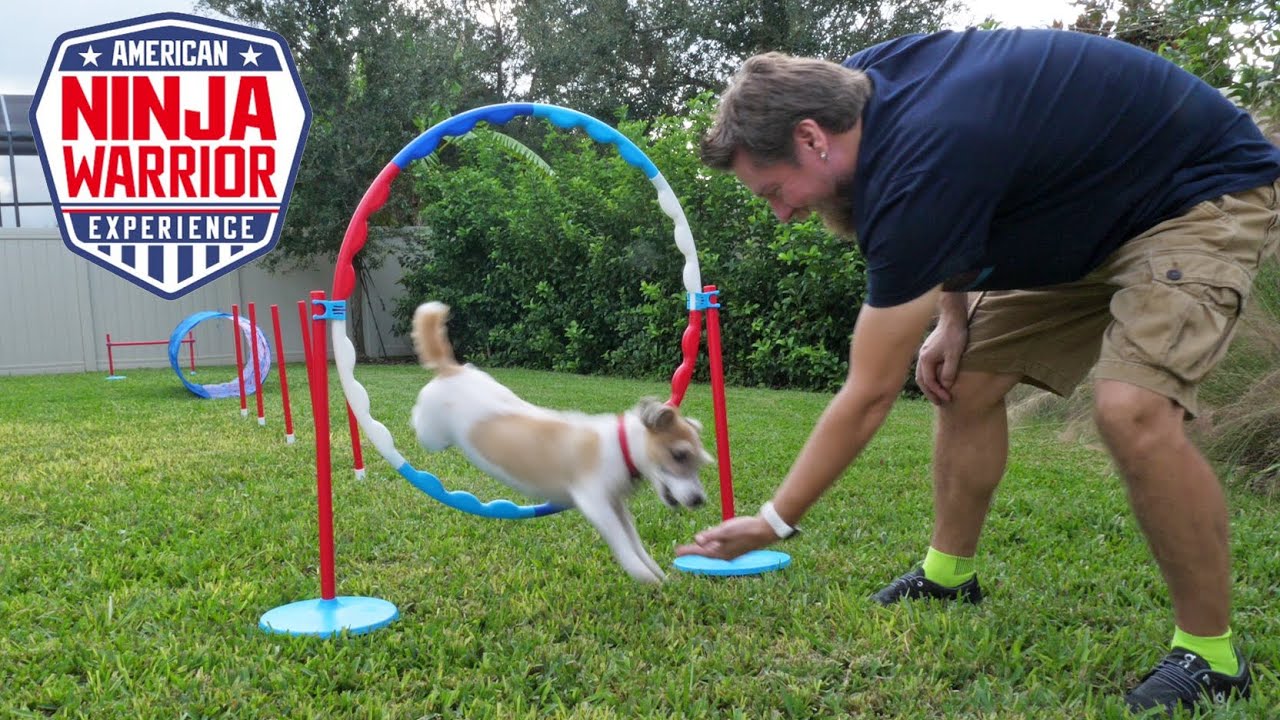American Ninja Warrior Family Agility Course - YouTube