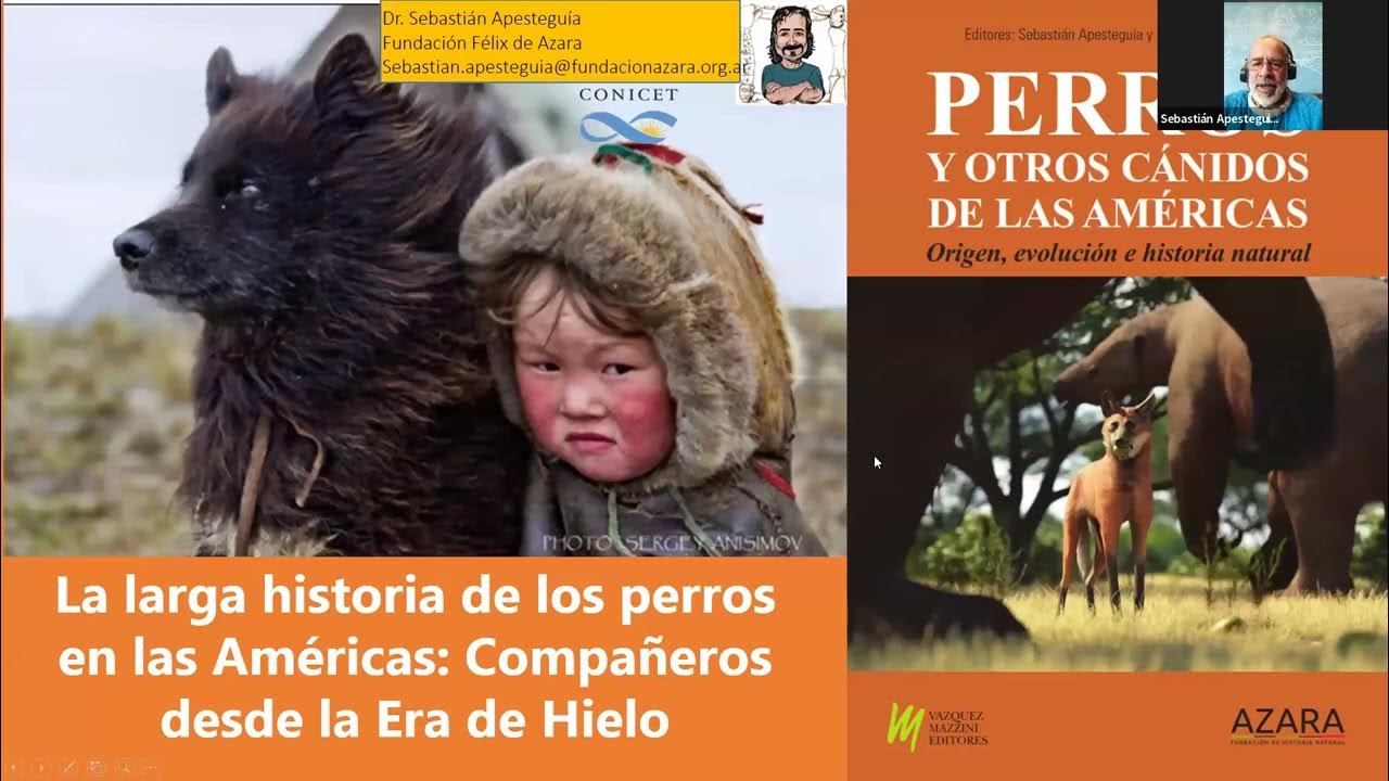 Webinar La larga historia de los perros en América - YouTube