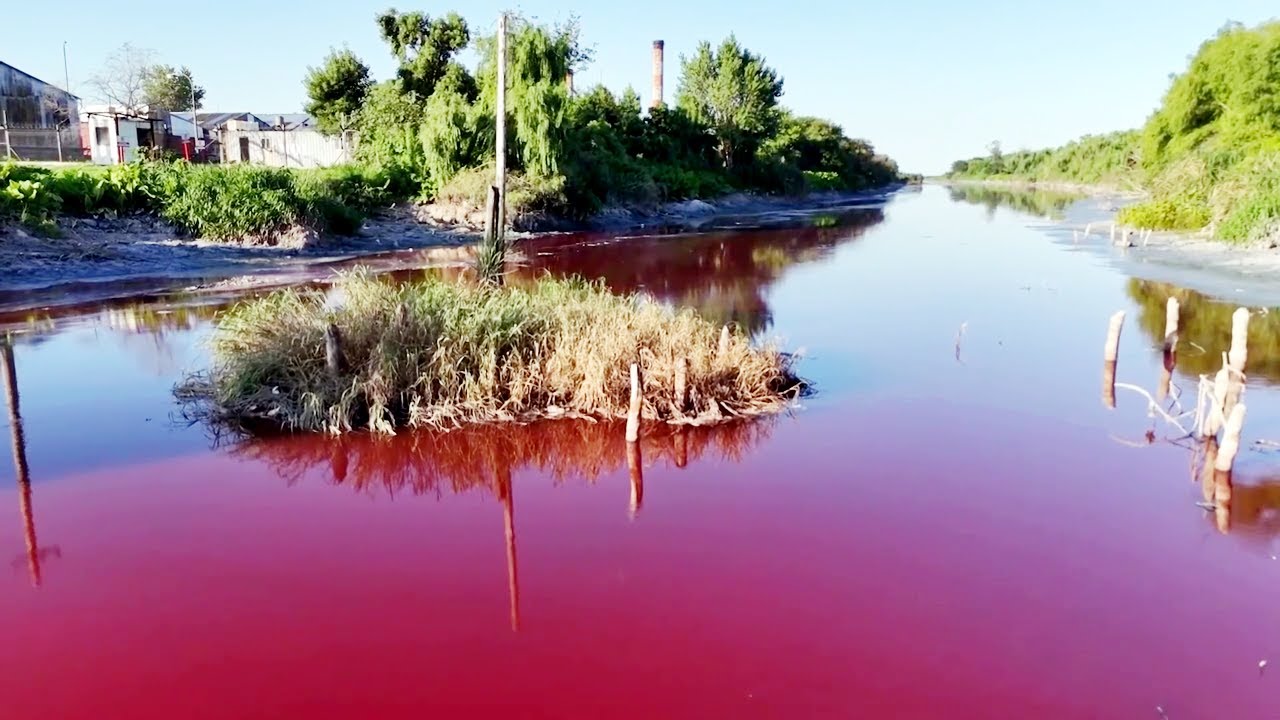 Argentine river turns blood red, causing local alarm - YouTube