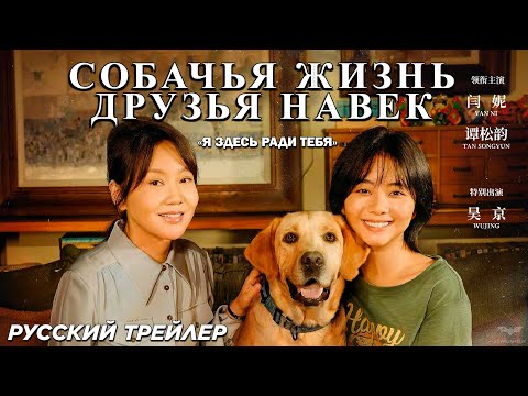Собачья жизнь: Друзья навек (2024) | Русский трейлер (6+)