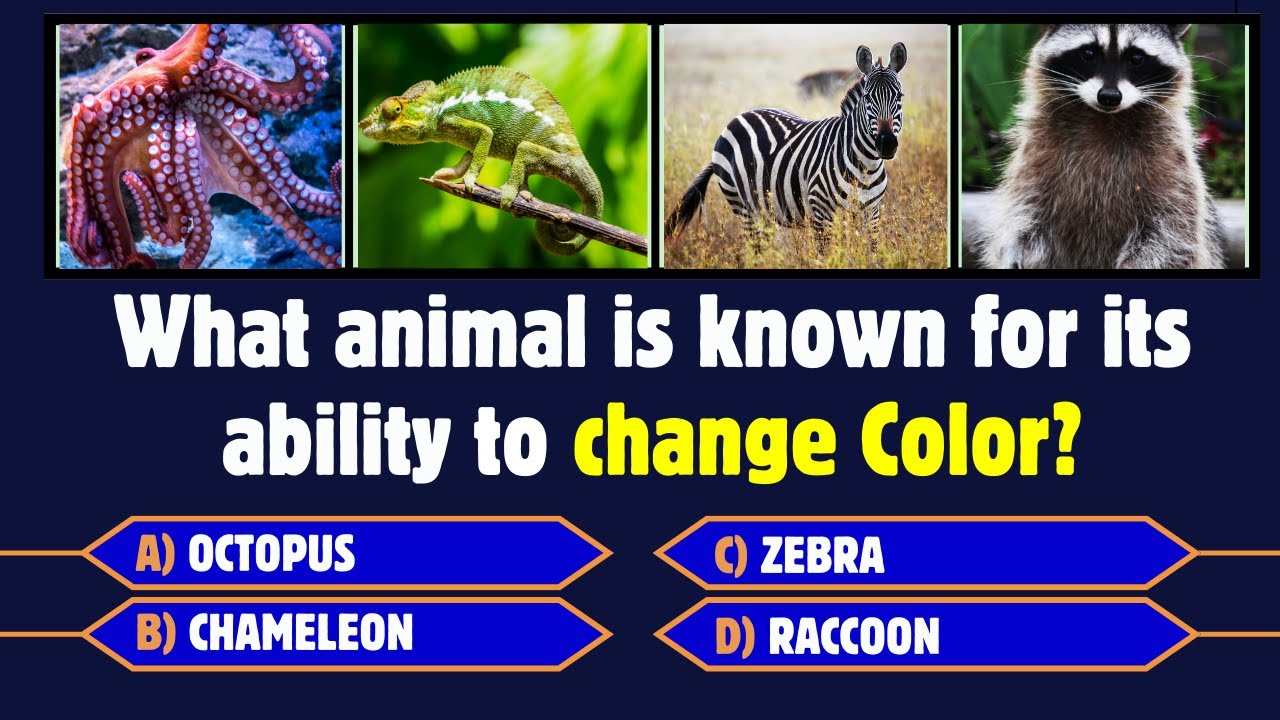 Animal Trivia | Animal Sounds Quiz | Quizzes General Knowledge ...