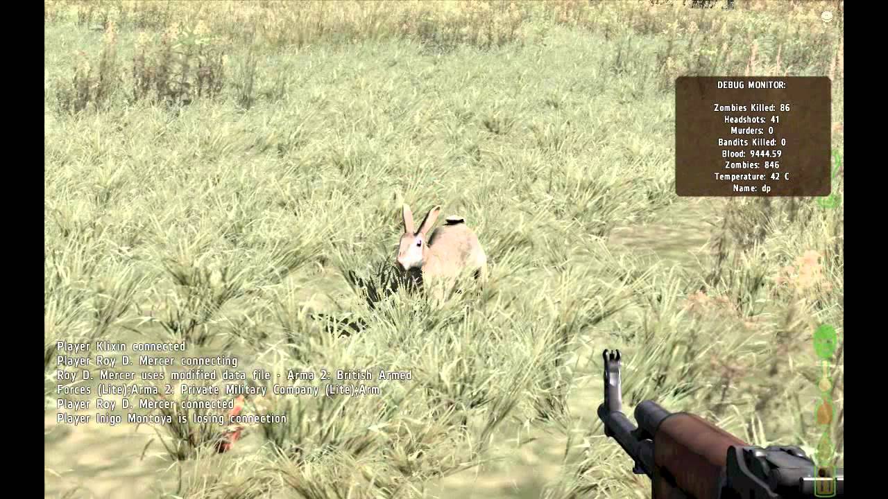 DayZ - derpy rabbit - YouTube